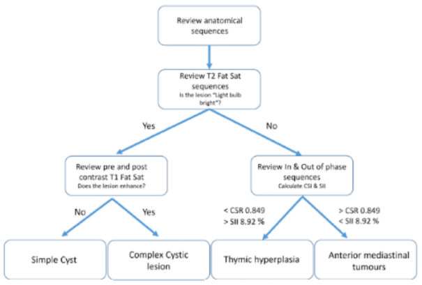El timo: ¿Qué es normal y qué no lo es? Resolviendo el problema con la RM